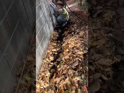 Gardening with grey water