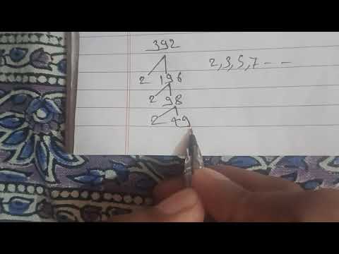 factor tree of 392 | prime factor tree|