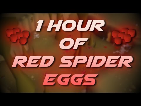 Collecting Red Spiders' Eggs | Testing OSRS Wiki Money Making Methods