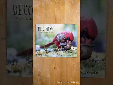 2025 Becorn Calendar
