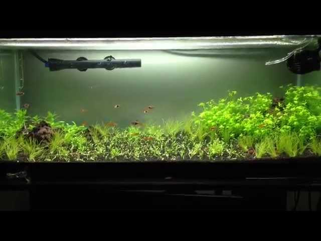 Best Canister Filters - Top Picks, Tested & Compared