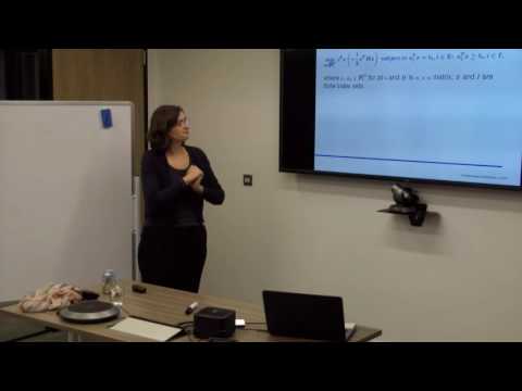 Masterclass for optimisation - Professor Coralia Cartis, University of Oxford