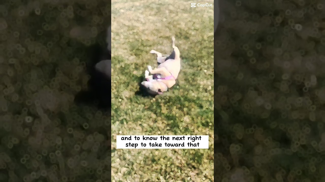 Inner Compass Masterclass