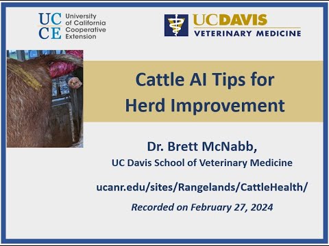 2024 Cattle AI
