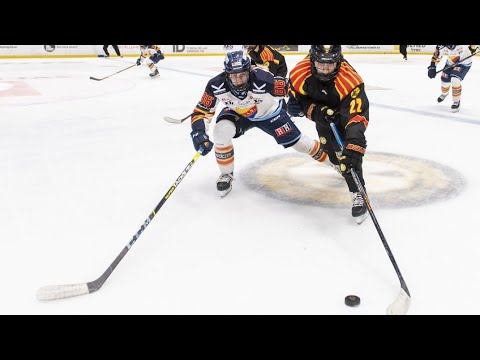 #BIFvsDIF | SDHL SF 2022/23 HIGHLIGHTS, 10.3.2023