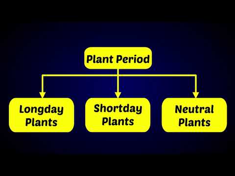 Photoperiodism and vernalization | Long Day | Short Day | Neutral Plants