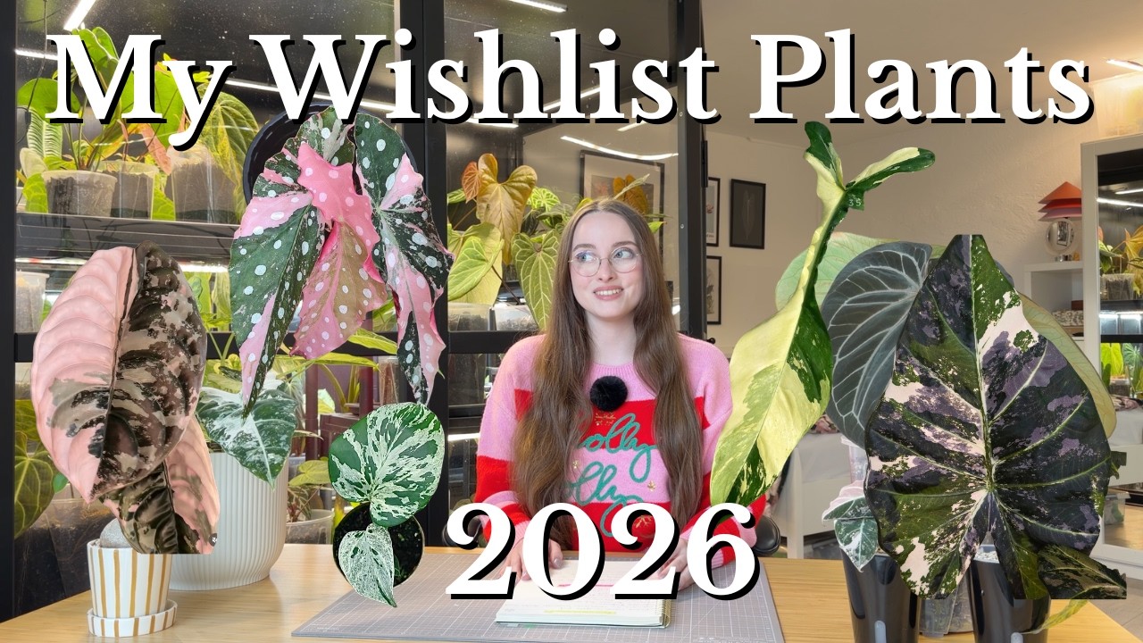 Rare Plant Wishlist 2026 🌿 Dream Plants I’m Manifesting