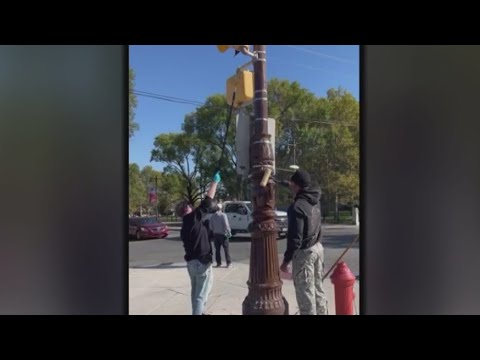 Crews grease light poles in anticipation of the Phillies winning the NLCS