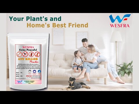 WESFRA Ant Killer Repellent Powder 1kg | Get Free Delivery