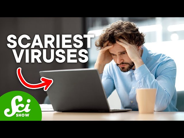 The 5 Most Destructive Computer Viruses in History | Galaxy.ai