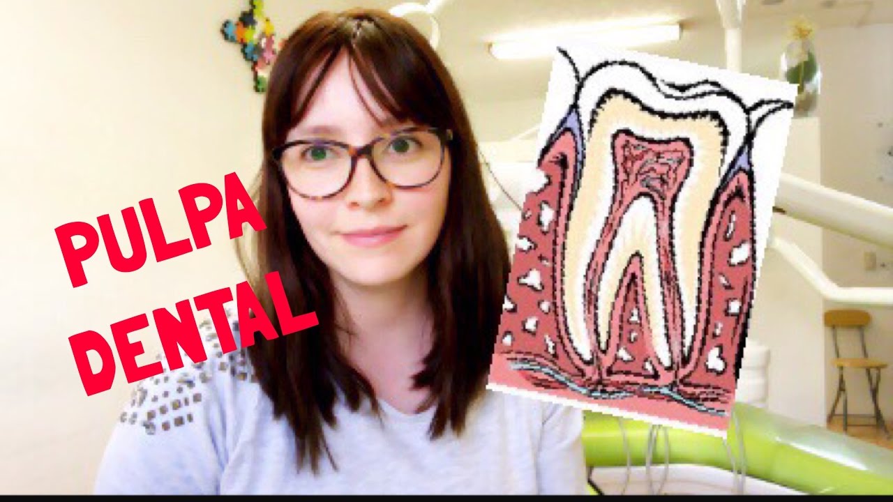 Dental Pulp