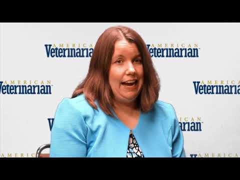 Top 3 Toxins for Animal Poison Control
