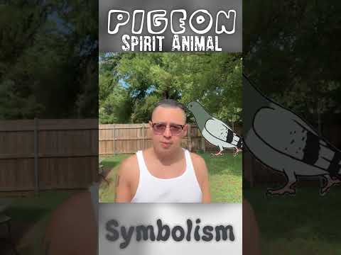 #Pigeon #spiritanimal #spiritualmeaning #symbolism | A #FridayPodcast #Clip w/ #ChrisChaos