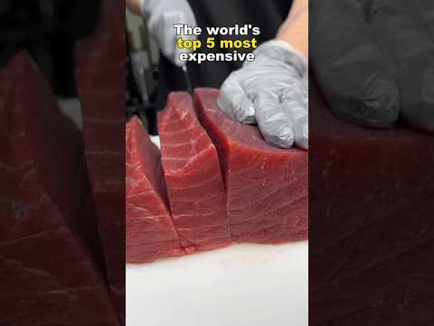 Top 5 Most Expensive Fishes In The World ????