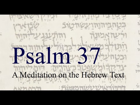 Psalm 37 ~ What are the Righteous to Do?