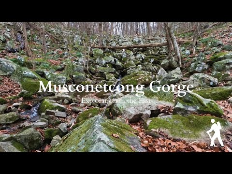 Hiking - Musconetcong Gorge