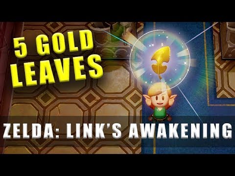 The Legend of Zelda Link's Awakening Switch 5 Golden Leaves