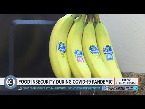 The Goodman Center in Madison is helping almost 400 families in need since the pandemic hit.