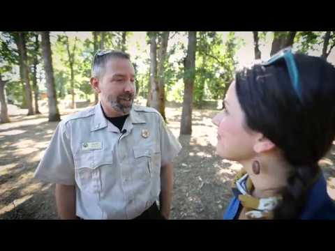 How do we minimize the risk of catastrophic fires?