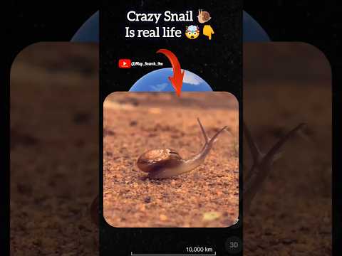 i found crazy Snail πππ€― on google map and google earth π #shorts #map #location #short
