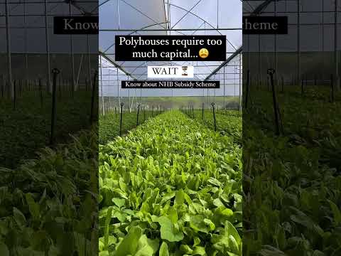 National Horticulture Board 🇮🇳 Poly house Subsidy Scheme