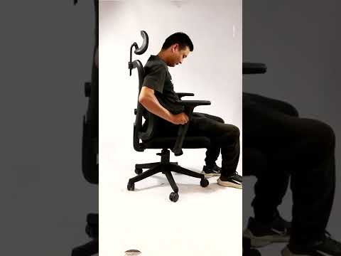 Basics Ergonomic Adjustable High-Back Mesh Chair
