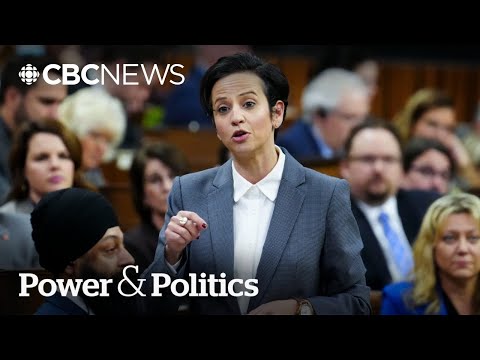 'No one group has a veto': Conservative deputy leader on pipeline, C-5 objections | Power & Politics