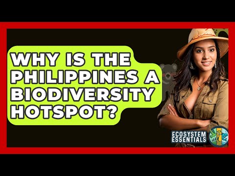 Why Is The Philippines A Biodiversity Hotspot? - Ecosystem Essentials