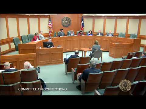 Lauren Johnson Gives Testimony in Support of Primary Caretaker Bill