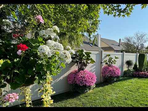 August 2024 garden tour