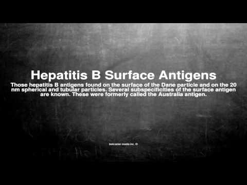 Medical vocabulary: What does Hepatitis B Surface Antigens mean