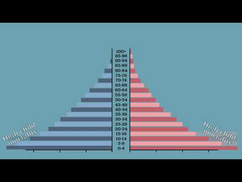 Population pyramid