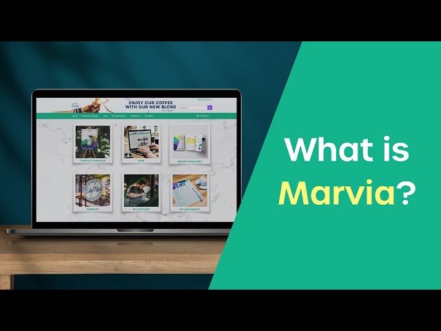 Marvia Pricing, Reviews, & Features in 2022