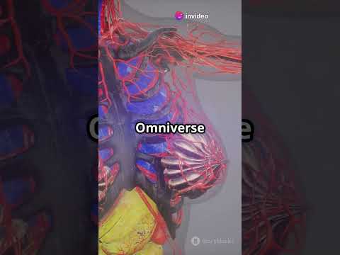 Is There a Final Reality Beyond the Multiverse? ๐#shortsvideo #humanhistory #infonestle #universe