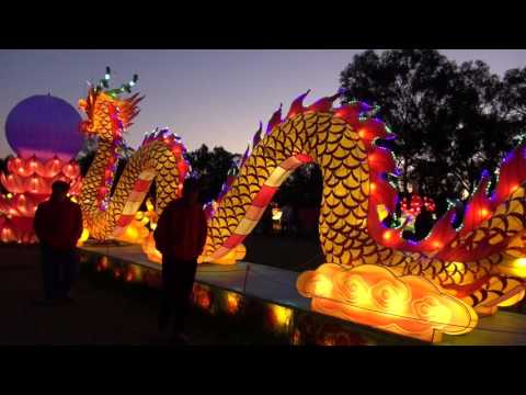 Festival lights up Dandenong Showgrounds | Rochelle Brown