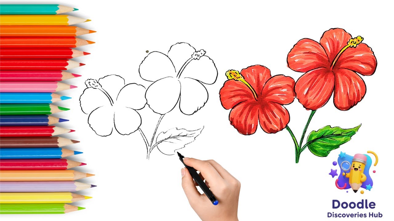 How to draw a Hibiscus Flower and Coloring Page | Step-by-Step Easy Flower Drawing