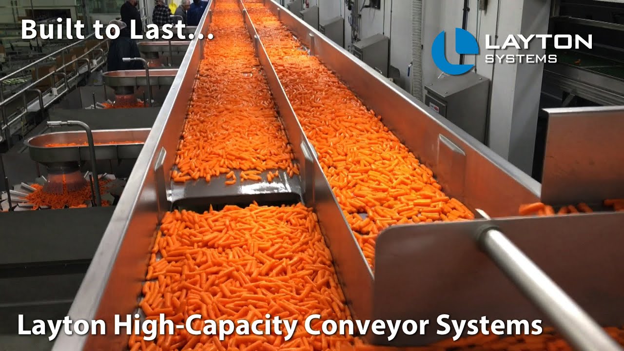 Layton High-Capacity Conveyor Systems