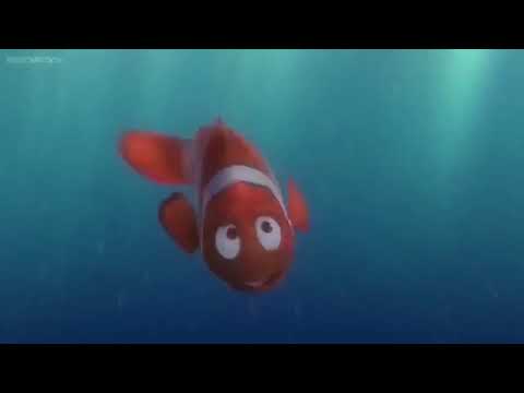 Toons Adventures of Finding Nemo - Nemo Lost/Meeting Dory/Meet Bruce ...