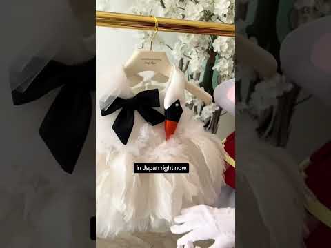Stunning Kids Costumes best of 2025!