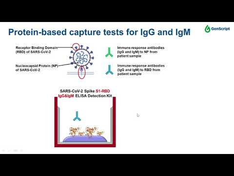 A high throughput test for detecting neutralizing antibodies to SARS-CoV-2