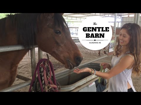 The Gentle Barn | Vlogmas Day 6