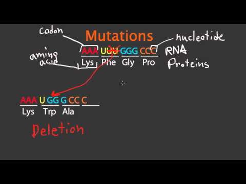 Mutations
