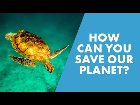 SeaWorld's Youth Advisory Council Brings A New Perspective On Conservation