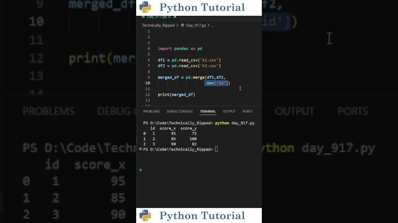 Quick Fix for Duplicate Column Merges in Pandas | Python Tutorial