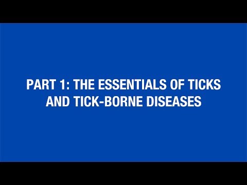 Part 1: The Essentials of Ticks and Tick-Borne Diseases [Hot Topic]