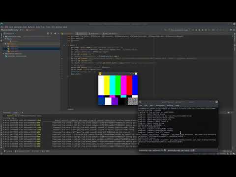 Rust Streams H.264 Video After Reading it from Shared Memory