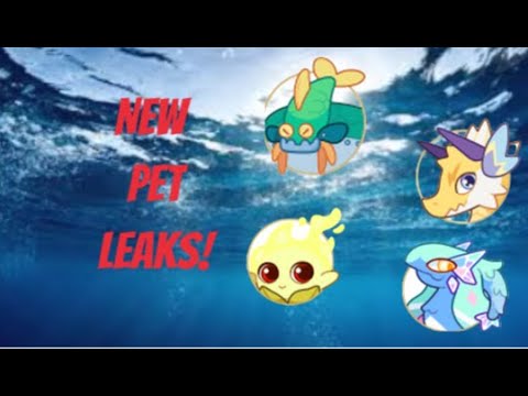 New Leaked pets are coming shortly! | Prodigy Math Game