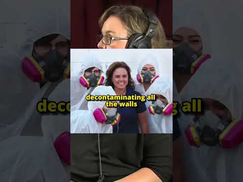 The GENIUS Behind Breaking Bad's Pest Control Scene 😳🤯 | #shorts