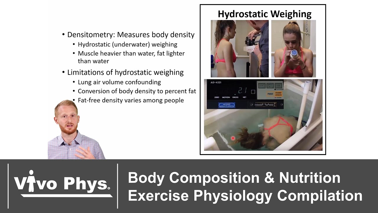Body Composition and Nutrition Exercise Physiology Compilation