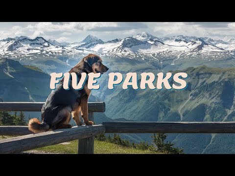 Pet Paradise: The Top 5 Dog-Friendly National Parks